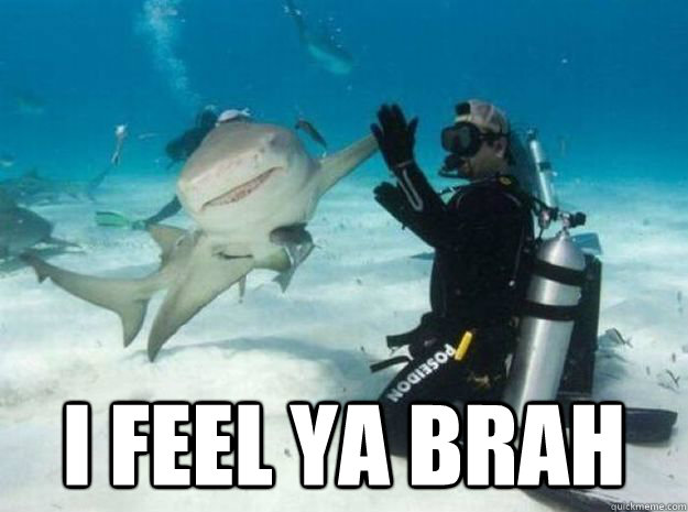 I FEEL YA BRAH - SHARK FIVE - quickmeme