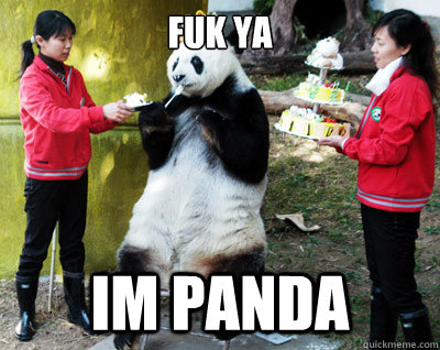 fuk ya Im panda - Im Panda - quickmeme