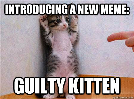 guilty kitten memes | quickmeme
