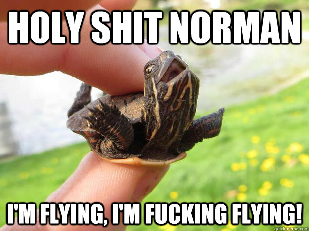 Holy shit Norman I'm FLYING, I'm fucking flying! - Misc - quickmeme