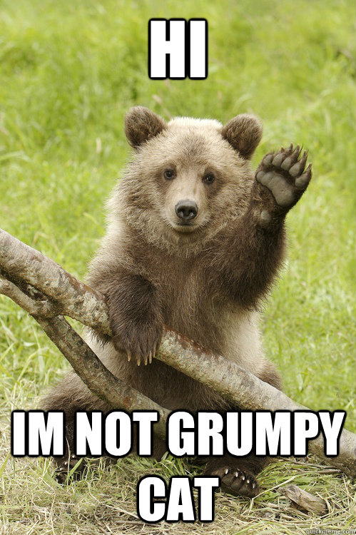 Hi Im not grumpy cat - Misc - quickmeme