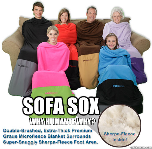 SOFA SOX why humante WHY? - FacePalm - quickmeme