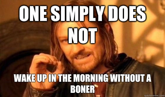 One Simply Does not Wake up in the morning without a boner - One Simply Does Not - quickmeme