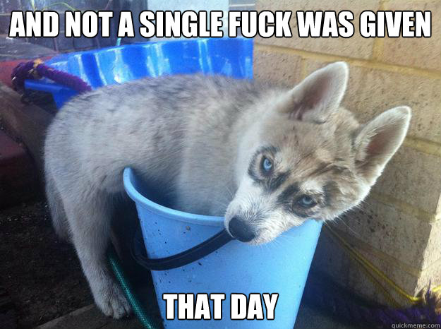 and not a single fuck was given that day - Arya in bucket - quickmeme
