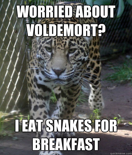Worried about Voldemort? I eat snakes for breakfast - Jaguar Security - quickmeme