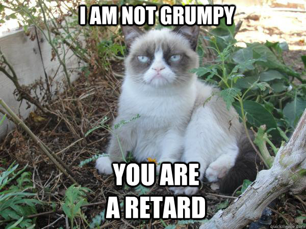 I am not Grumpy you are a retard - Outside Grumpycat - quickmeme