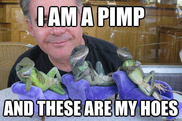 I am a pimp and these are my hoes - Lizard Pimp - quickmeme