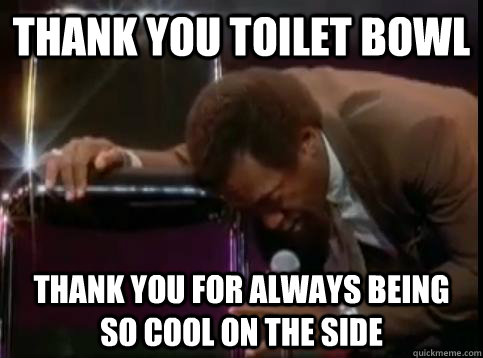 Thank you toilet bowl Thank you for always being so cool on the side - Misc - quickmeme