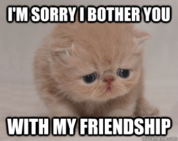 I'M SORRY I BOTHER YOU WITH my friendship - Misc - quickmeme
