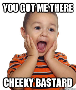 YOU GOT ME THERE CHEEKY BASTARD - cheeky bastard - quickmeme