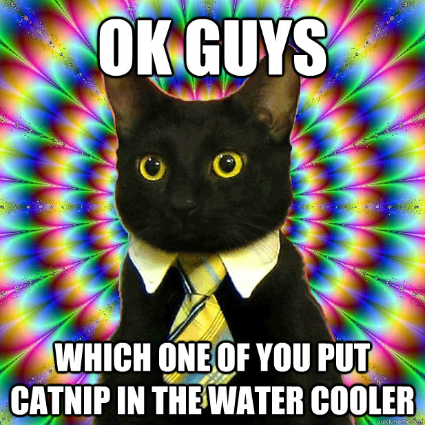 ok guys which one of you put catnip in the water cooler - Misc - quickmeme