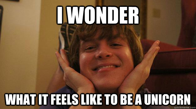 I wonder what it feels like to be a unicorn - wonder - quickmeme