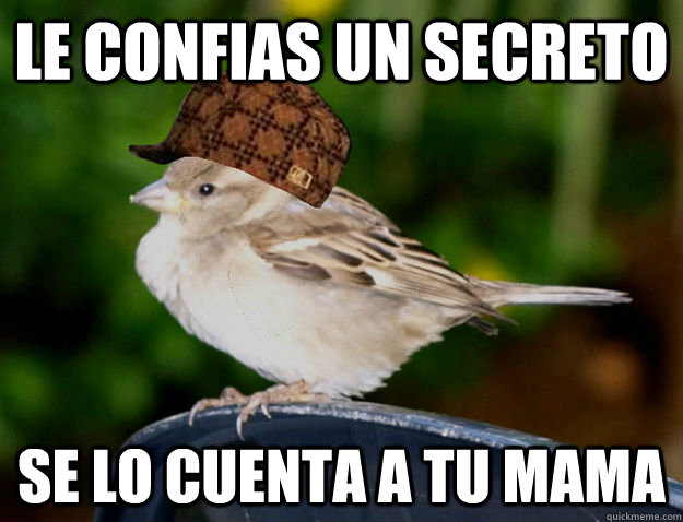 le confias un secreto se lo cuenta a tu mama - Scumbag pajarito - quickmeme