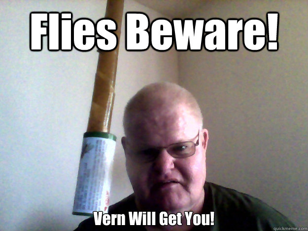 Flies Beware! Vern Will Get You! - Killing Flies - quickmeme