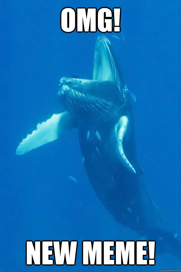 OMG! New meme! - Misc - quickmeme