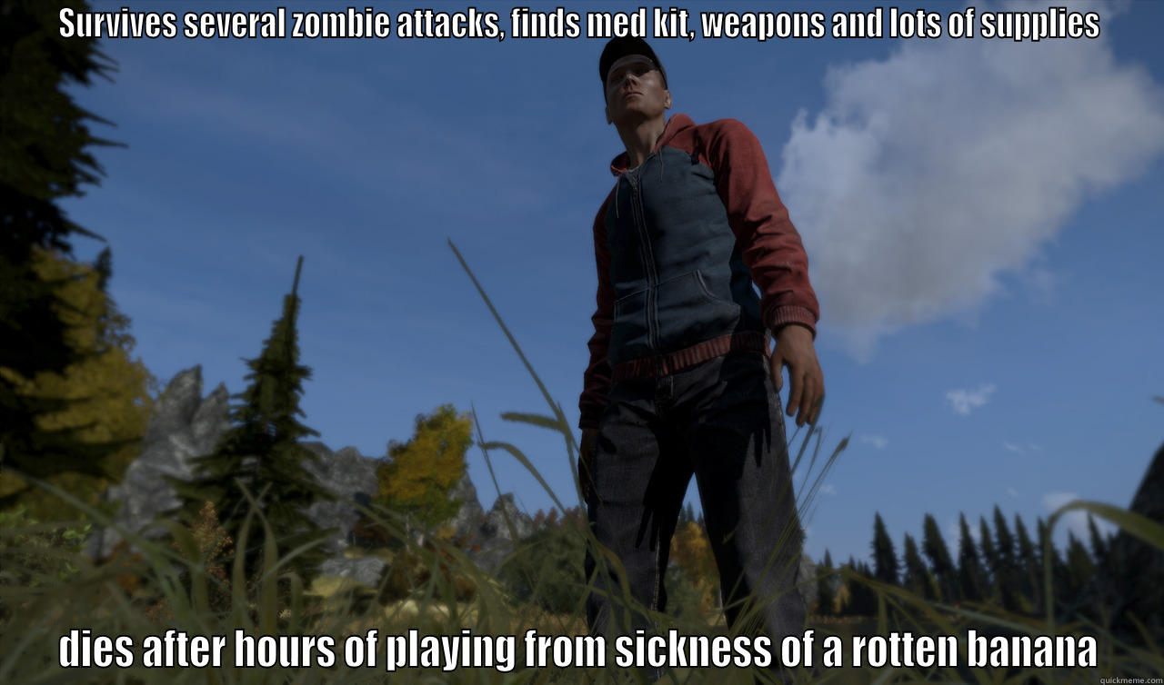 Welcome to DayZ Standalone Alpha - quickmeme