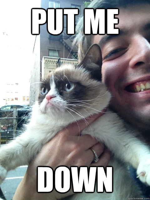 Put ME DOWN - Grumpy Cat Candid - quickmeme