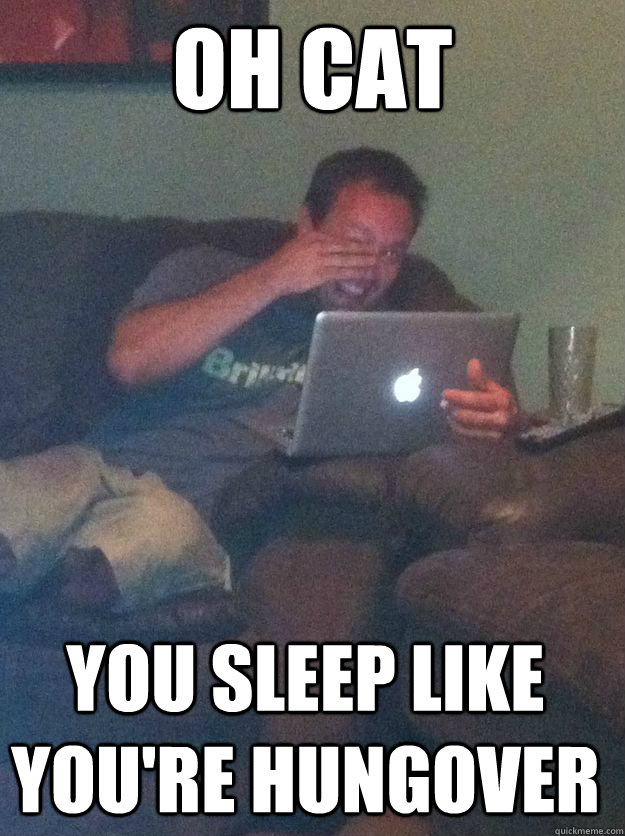 Oh cat You sleep like you're hungover - Misc - quickmeme