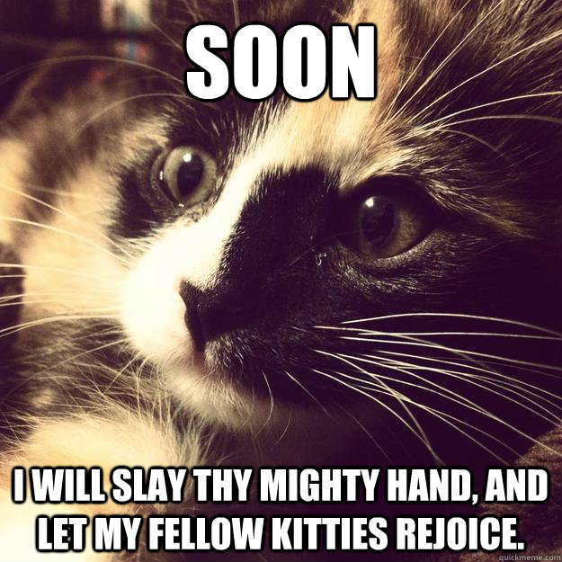 Soon I will slay thy mighty hand, and let my fellow kitties rejoice. - Champion Nemo - quickmeme