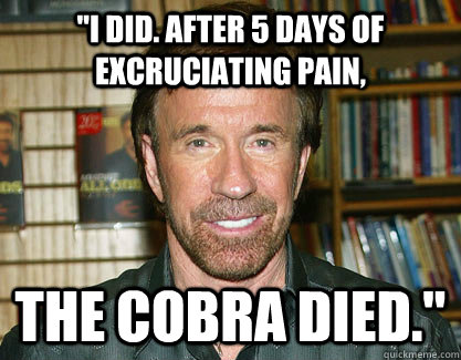 I heard Chuck Norris got bit by a cobra memes | quickmeme