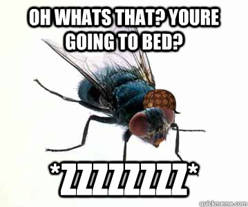 Oh whats that? Youre going to bed? *ZzZzZZzz* - Scumbag Fly Logic - quickmeme