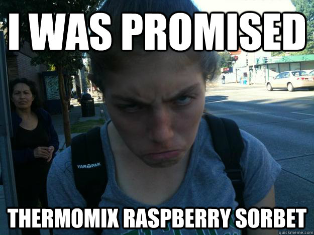 i was promised thermomix raspberry sorbet - Upset Girl - quickmeme