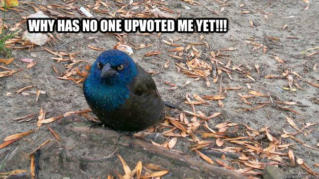 WHY HAS NO ONE UPVOTED ME YET!!! - Angry Bird - quickmeme