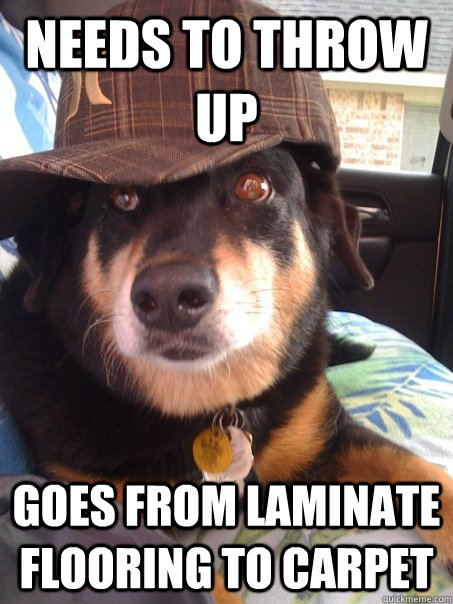 needs to throw up goes from laminate flooring to carpet - Misc - quickmeme