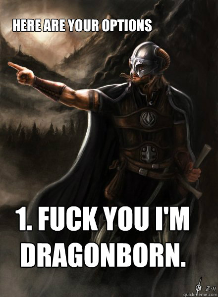 Here are your options 1. Fuck you I'm Dragonborn. - dada - quickmeme