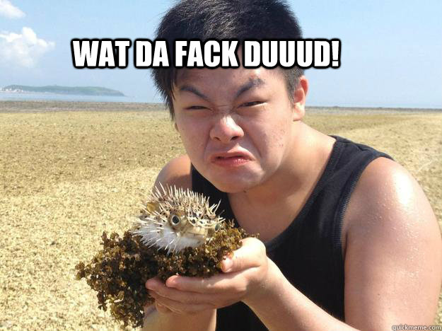 WAT DA FACK DUUUD! - WAT DA FACK DUUD - quickmeme