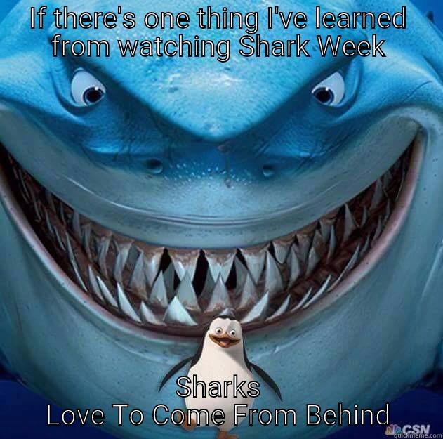 Go sharks - quickmeme