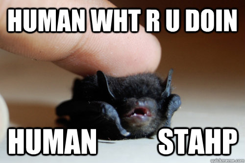 Human wht r u doin Human Stahp - Misc - quickmeme