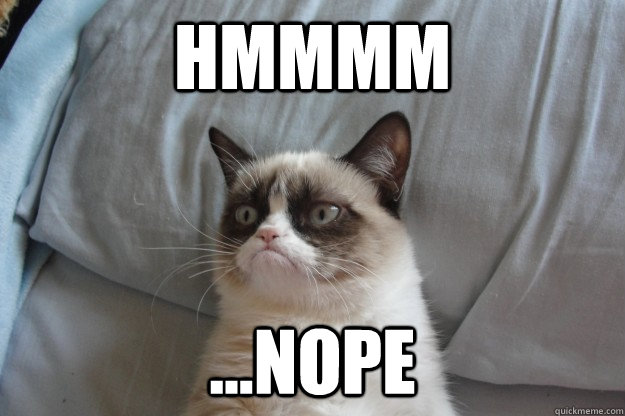 Hmmmm ...nope - Misc - quickmeme