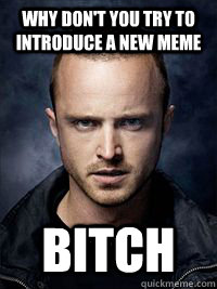 Why don't you try to introduce a new meme Bitch - Misc - quickmeme