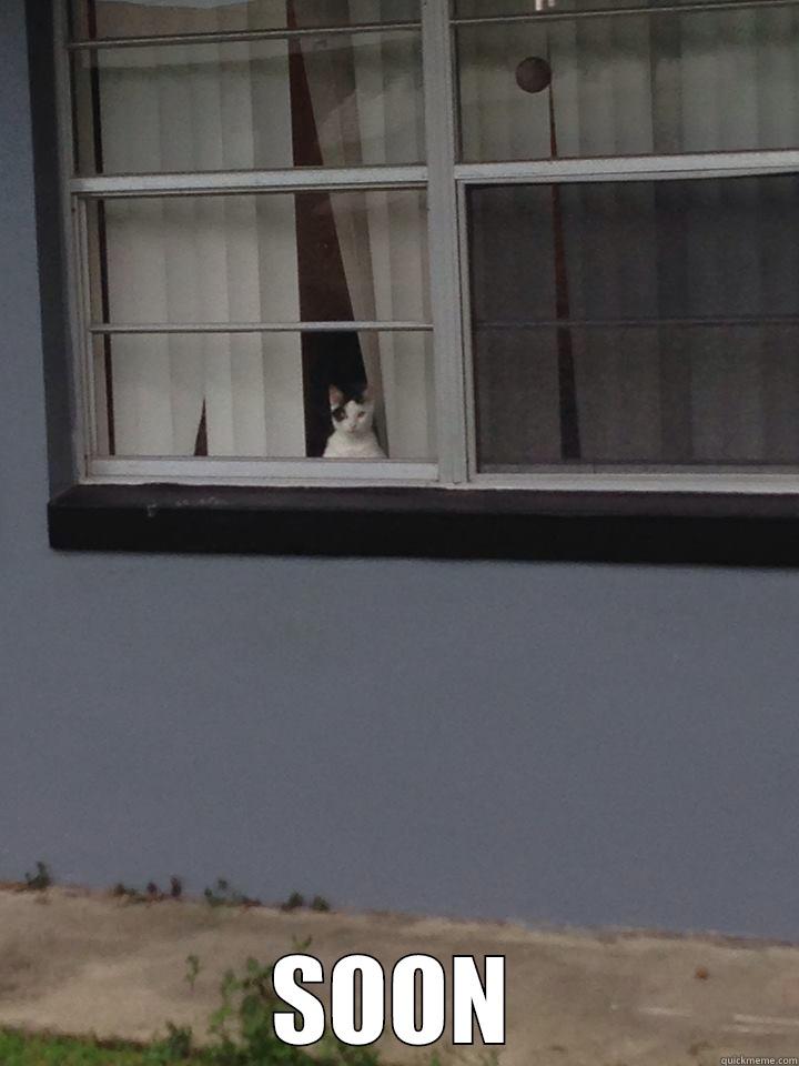 This is a catchy title. - quickmeme