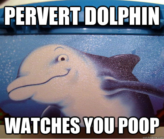 Pervert Dolphin Watches you poop - Pervert Dolphin - quickmeme