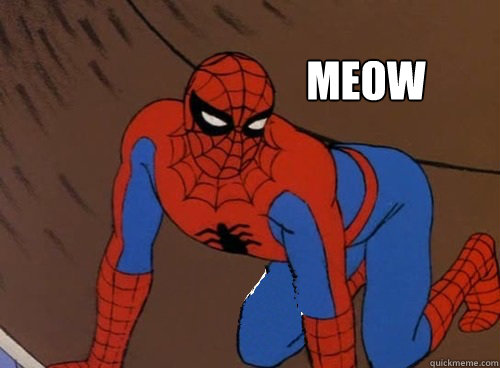 Meow - SPIDERMANHAYKILLERGAME2012 - quickmeme