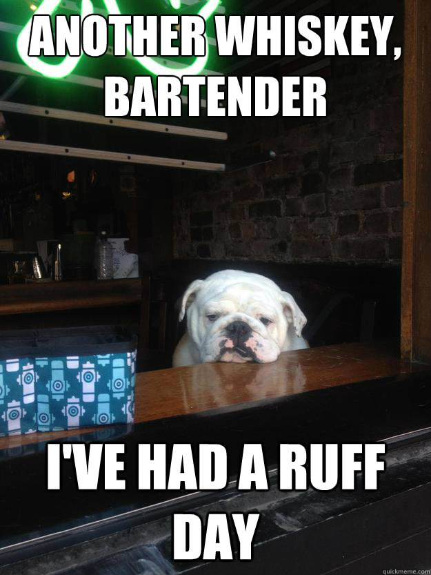 Another Whiskey, bartender I've had a ruff day - sad bar dog - quickmeme