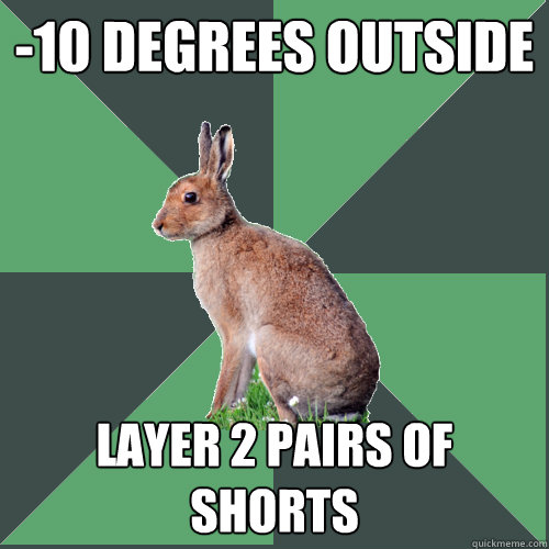 -10 degrees outside Layer 2 pairs of shorts - Harrier Hare - quickmeme