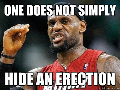 One does not simply Hide an erection - Lebrown James - quickmeme