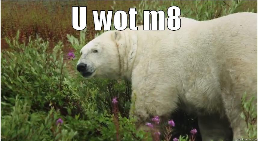 U wot m8 - quickmeme