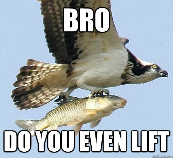 BRO do you even lift - Misc - quickmeme