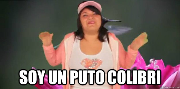 soy un puto colibri - colibritany - quickmeme