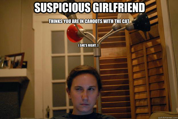 Suspicious Girlfriend memes | quickmeme