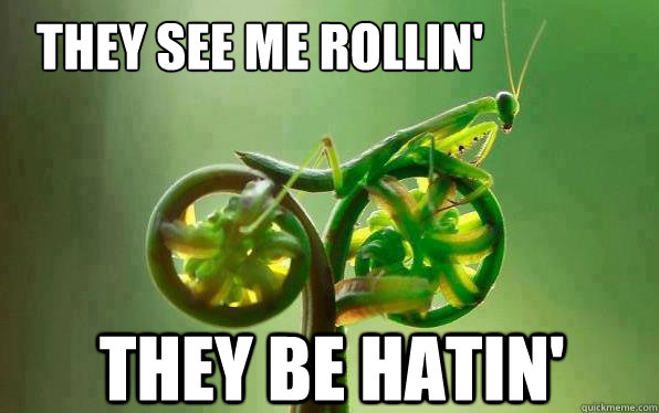 they see me rollin' they be hatin' - Grasshop on my bike - quickmeme