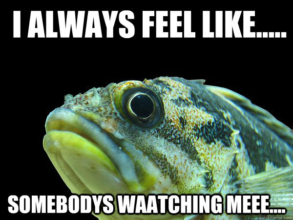 I always feel like..... somebodys waatching meee.... - Paranoid Frank Fish - quickmeme