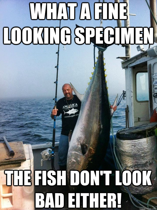 what a fine looking specimen the fish don't look bad either! - Misc - quickmeme