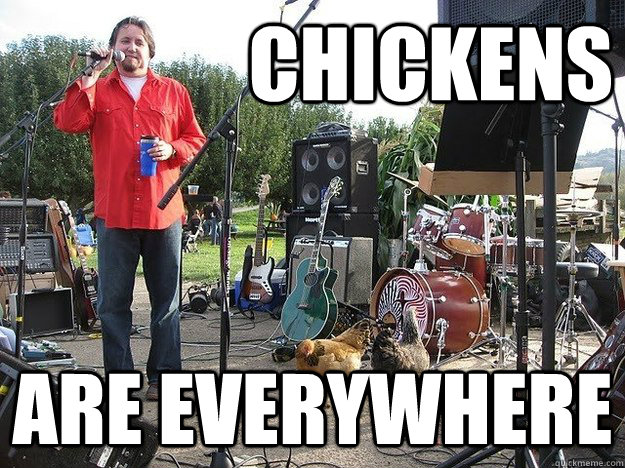 Chickens Bitch - Chickens - quickmeme