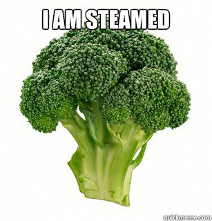 I am steamed - vegan broccoli - quickmeme