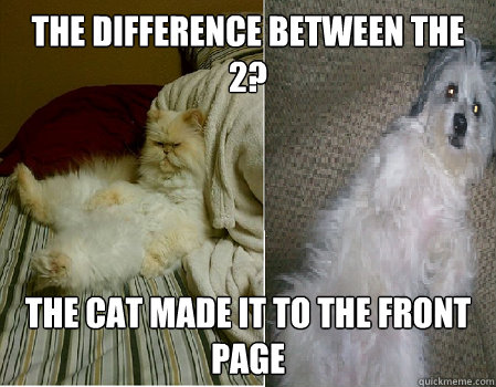 The difference between the 2? The cat made it to the front page - Reddit loves cats - quickmeme